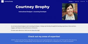 AIDA Portfolios - Learning Strategy & Design